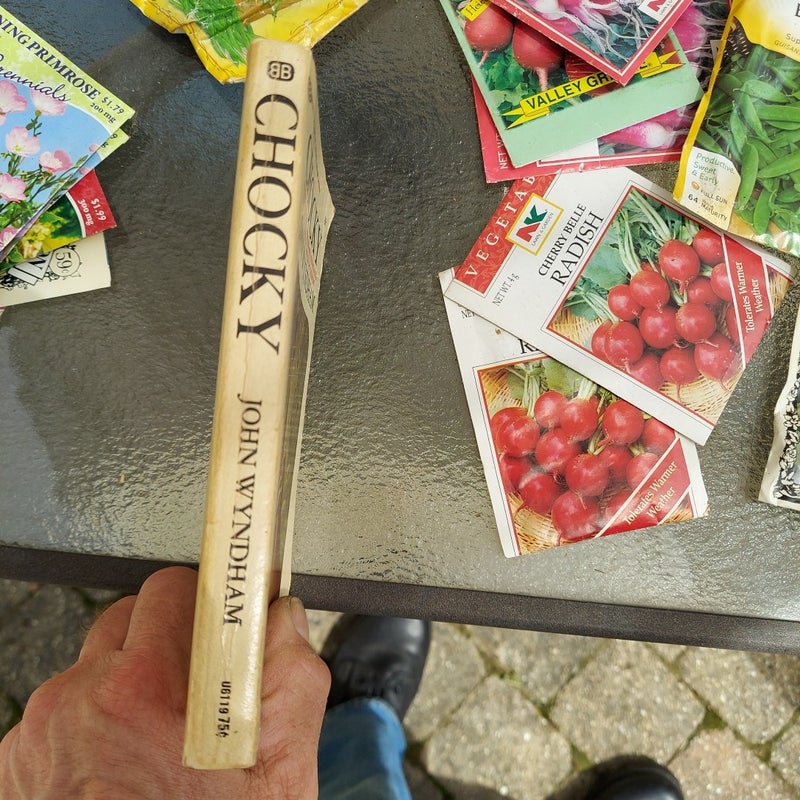 Chocky by John Wyndham , Paperback | Pangobooks