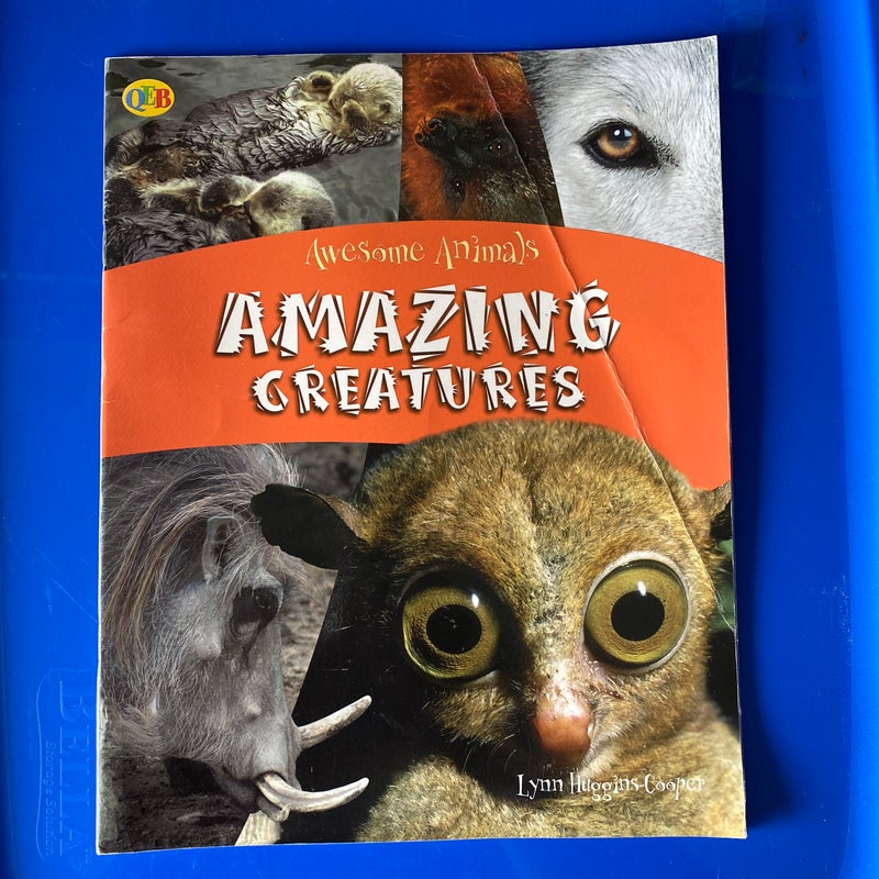Awesome Animals pack 6bks Scholastic Clubs Version by Lynn Huggins-Cooper