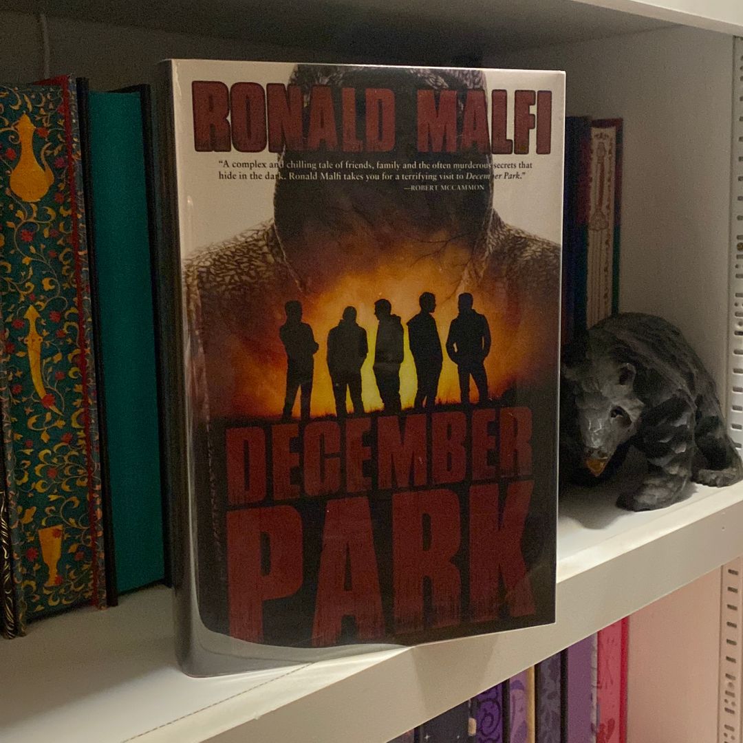 December Park by Ronald Malfi, Hardcover | Pangobooks