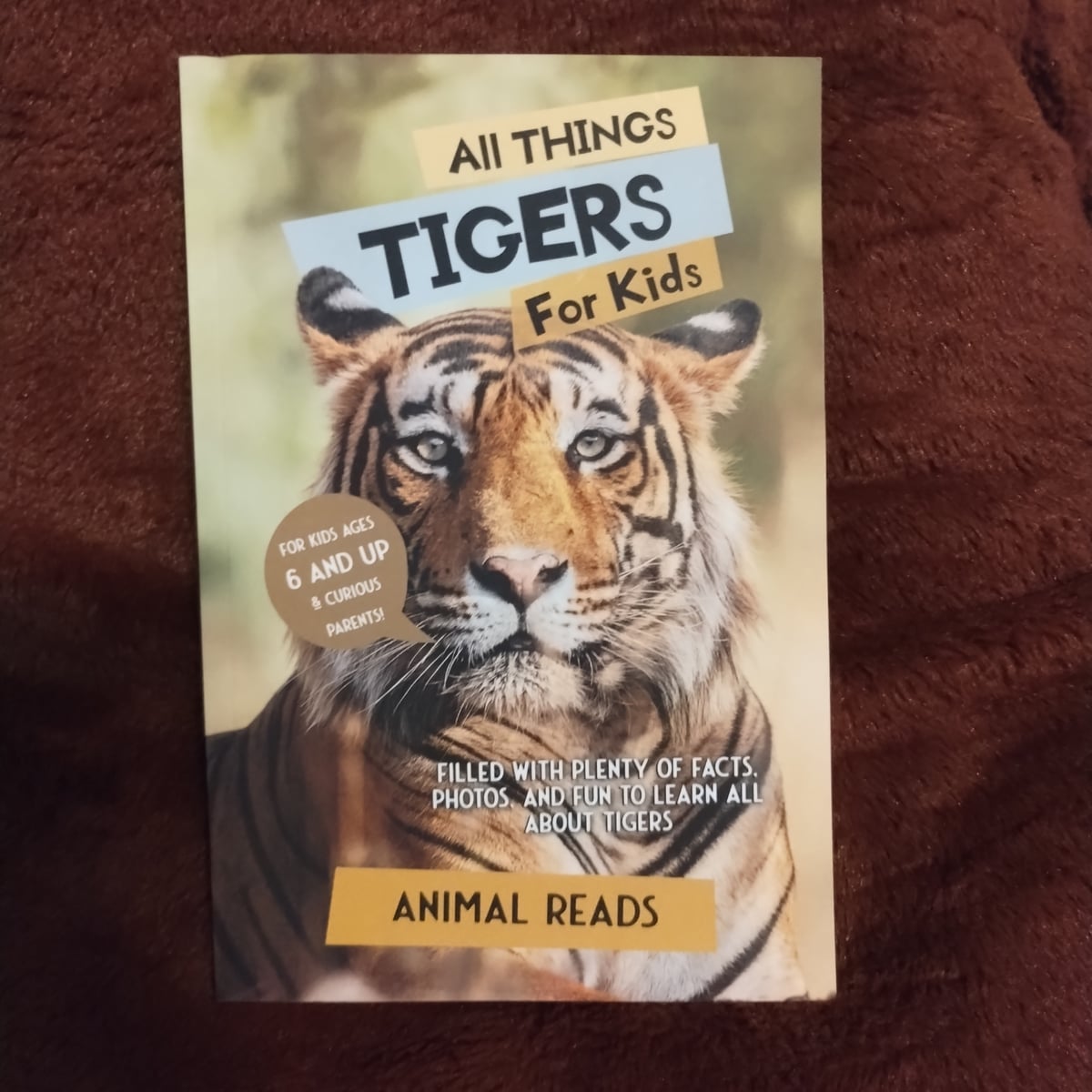 All Things Tigers for Kids by Animal Reads, Paperback | Pangobooks