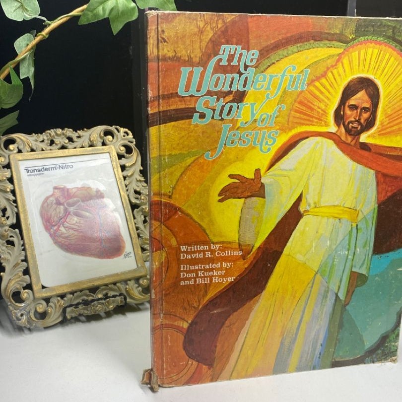 The Wonderful Story of Jesus by David R. Collins