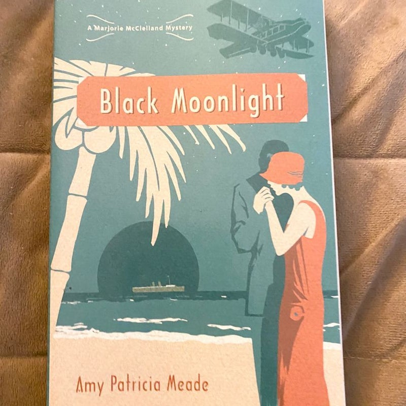 Black Moonlight by Amy Patricia Meade