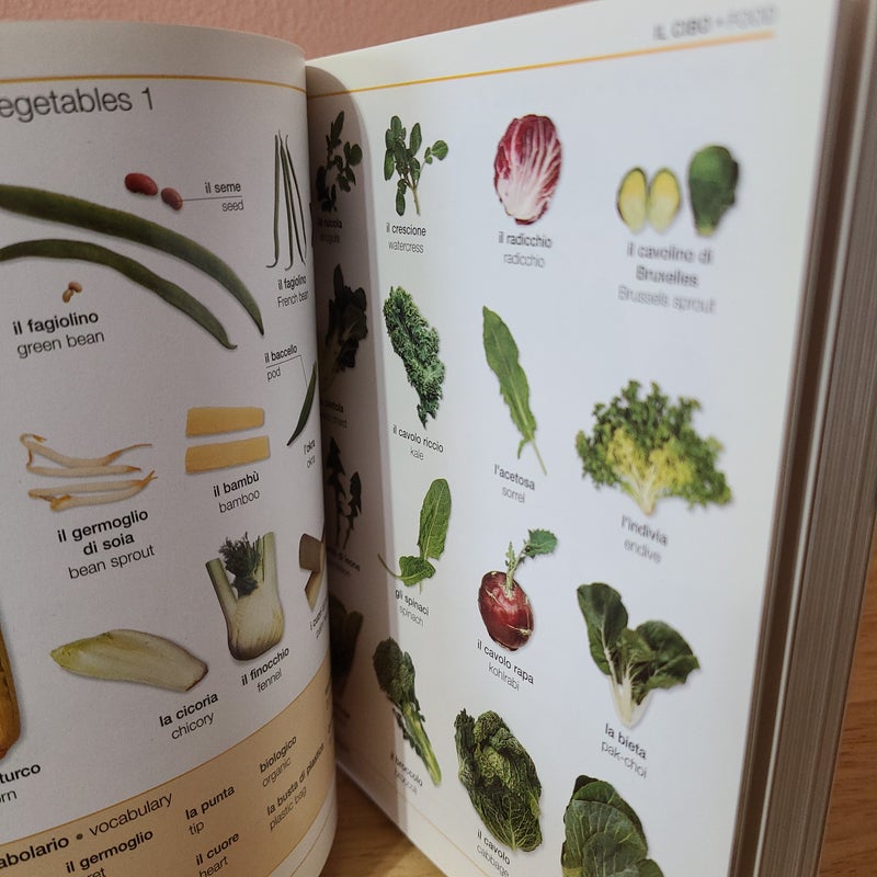 Italian English Bilingual Visual Dictionary