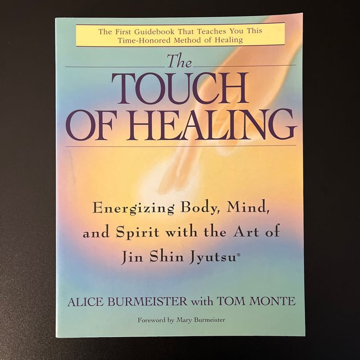 The Touch of Healing by Alice Burmeister, Paperback | Pangobooks