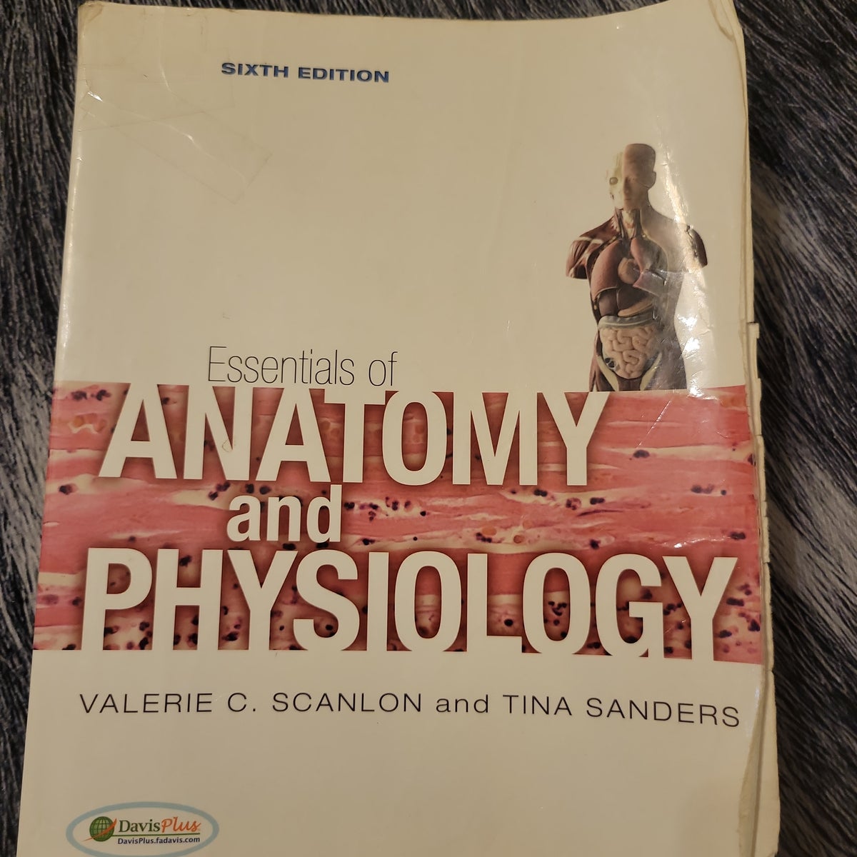 Essentials of Anatomy and Physiology by Valerie C. Scanlon, Tina Sanders