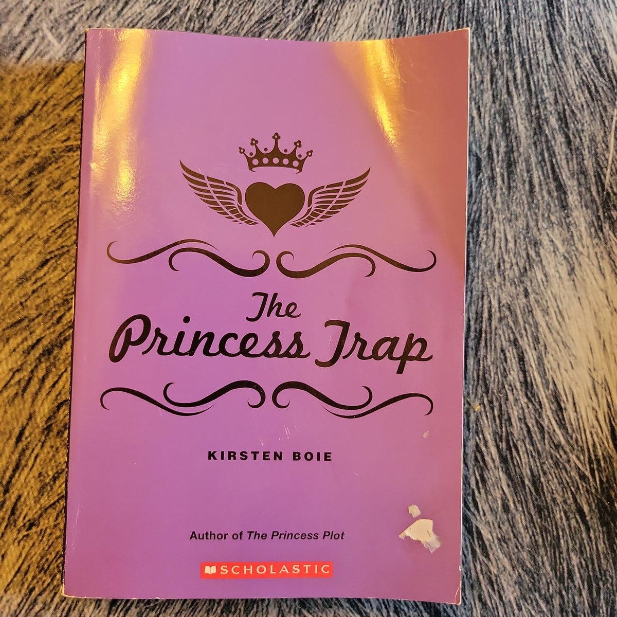 The Princess Trap by Kirsten Boie