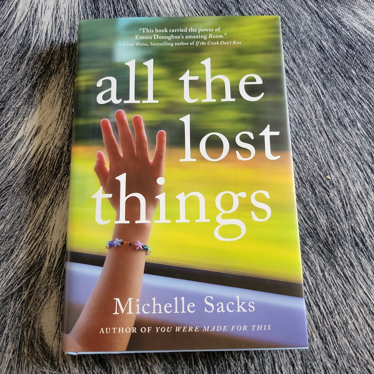 All the Lost Things by Michelle Sacks