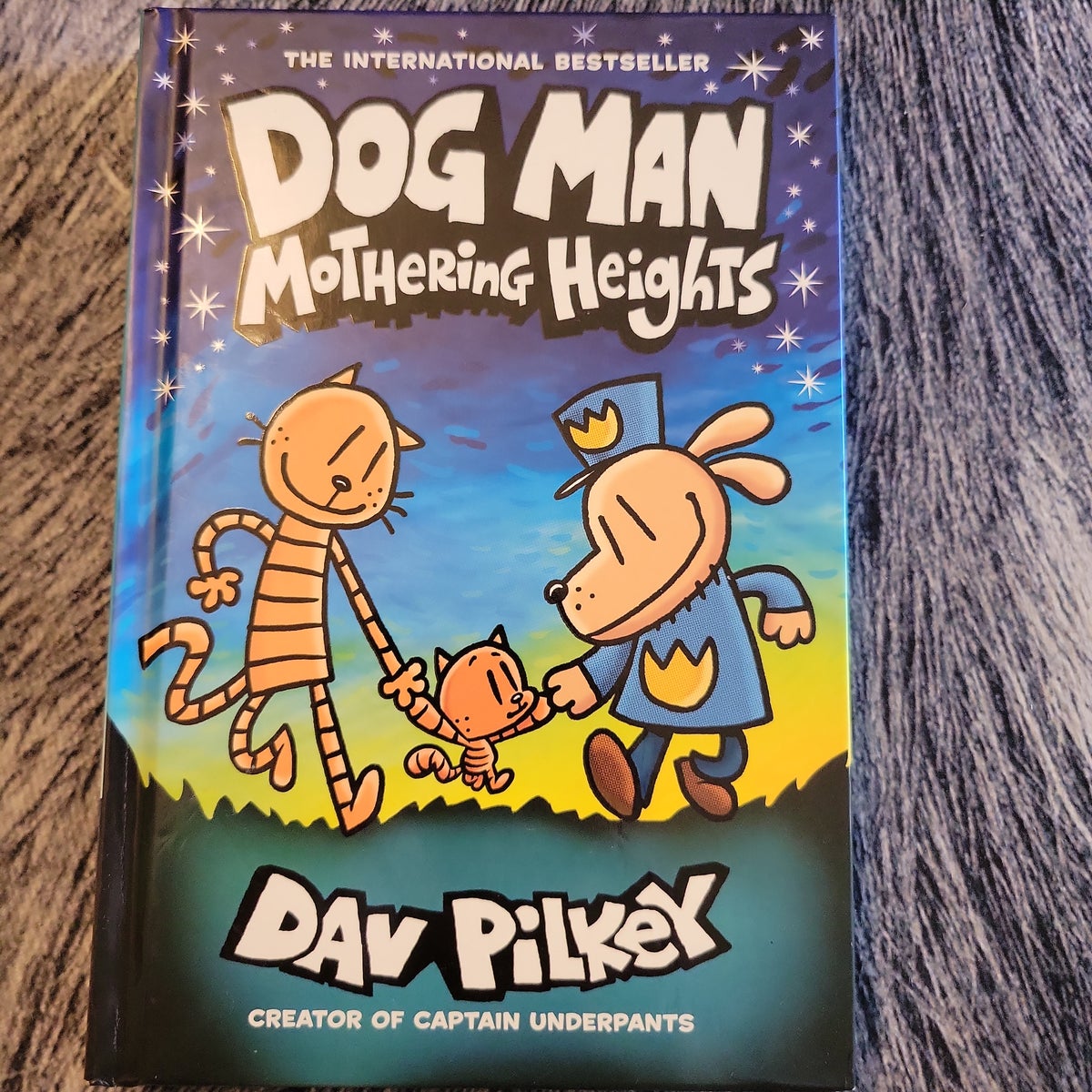 Dog Man by Martin Buser