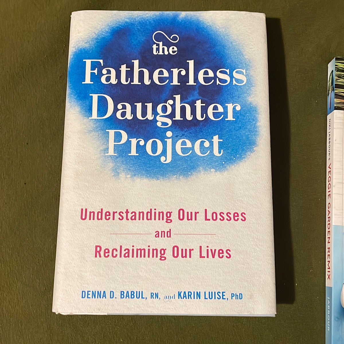The Fatherless Daughter Project