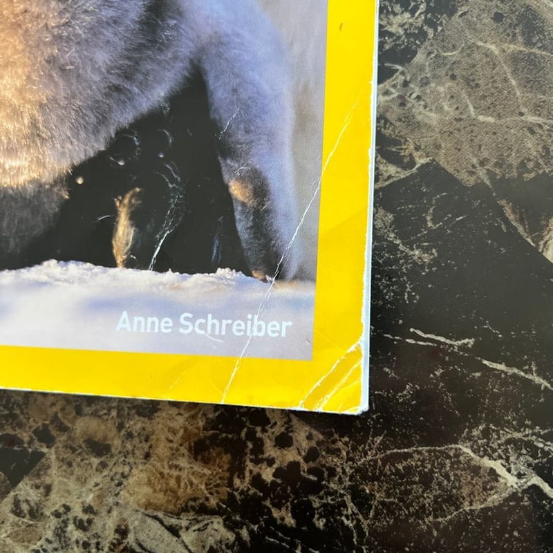 National Geographic Readers: Penguins!