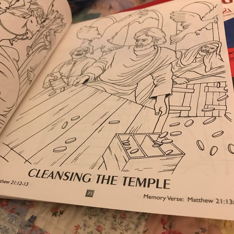 Bible Story Cards New Testament by Wesleyan Publishing House, Paperback ...