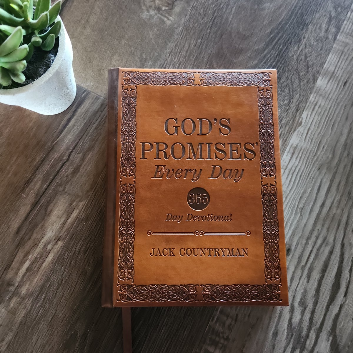 God's Promises Every Day by Jack Countryman