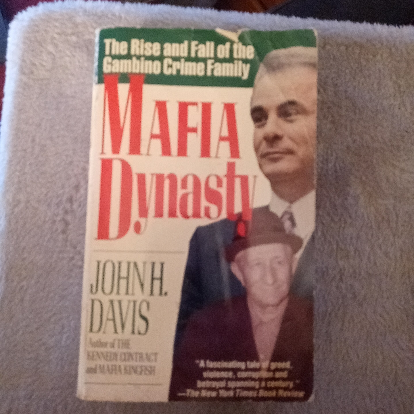 Mafia Dynasty by John H. Davis