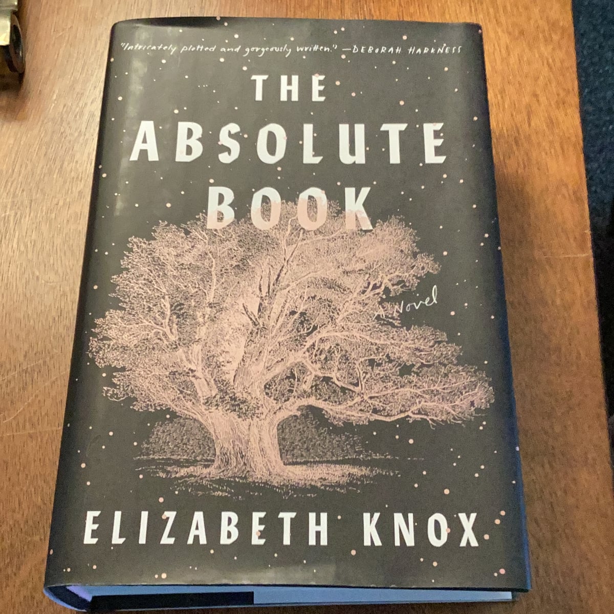 The Absolute Book