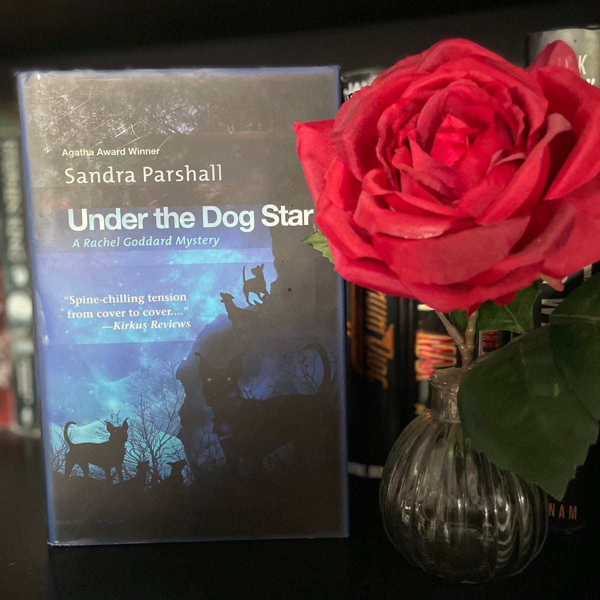 Under the Dog Star by Sandra Parshall | Pangobooks