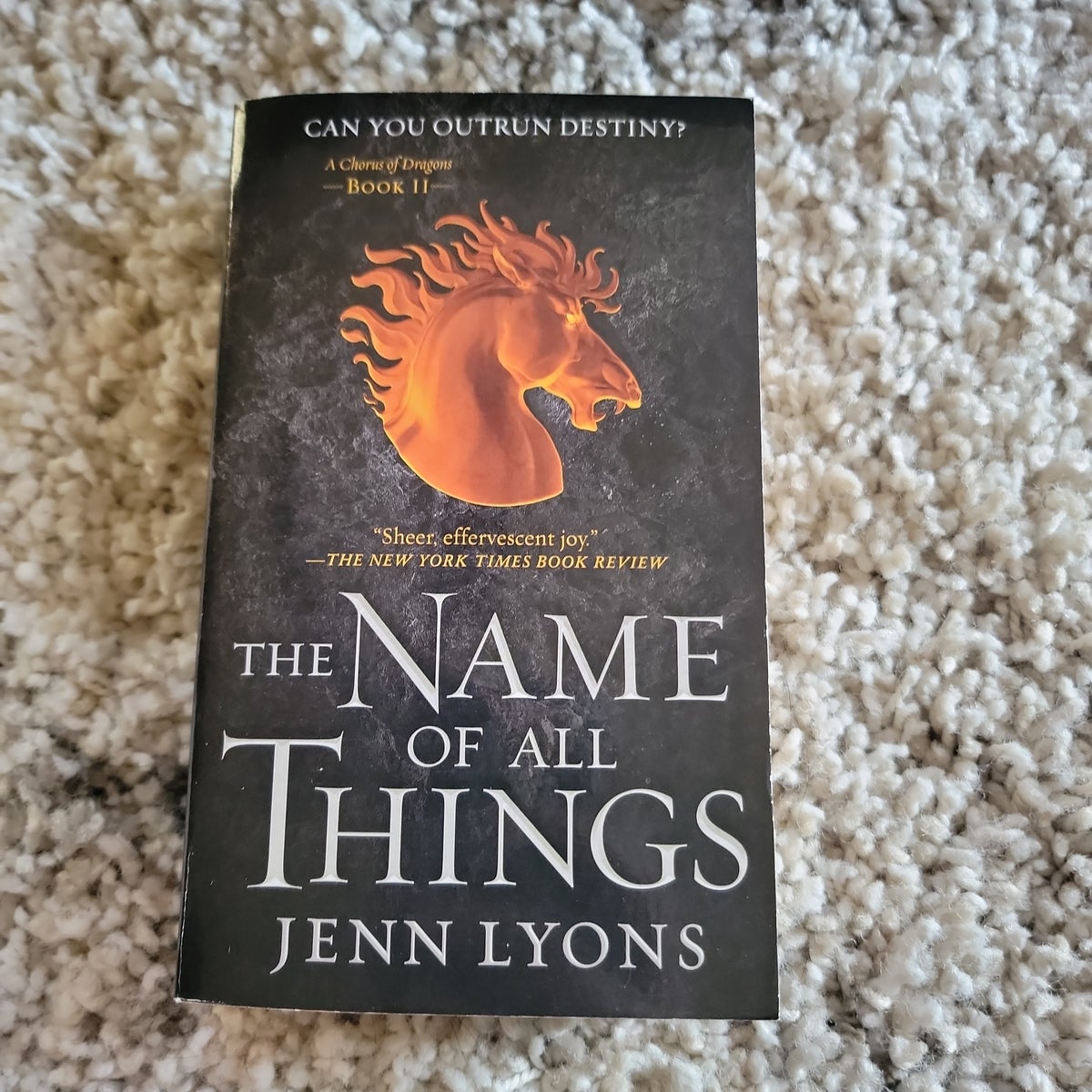 The Name of All Things