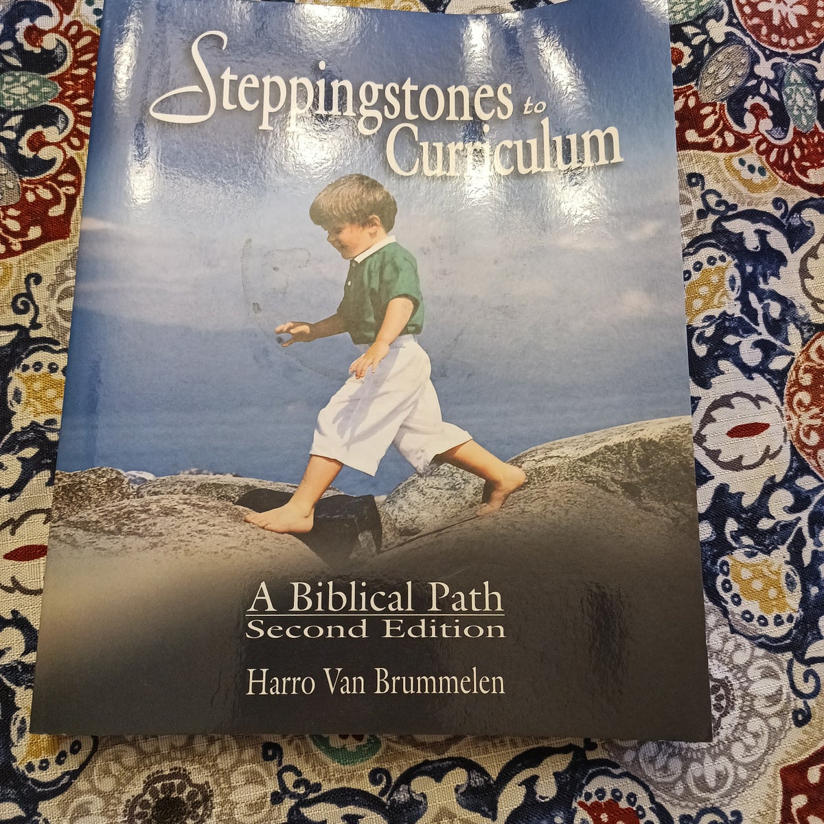 Steppingstones to Curriculum by Harro Van Brummelen