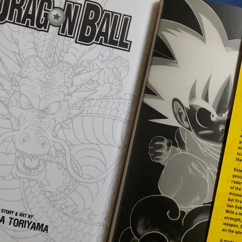 Dragon Ball Z (VIZBIG Edition), Vol. 1