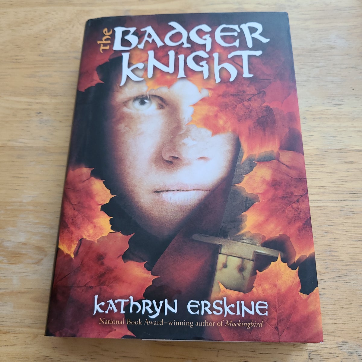 The Badger Knight by Kathryn Erskine, Hardcover | Pangobooks