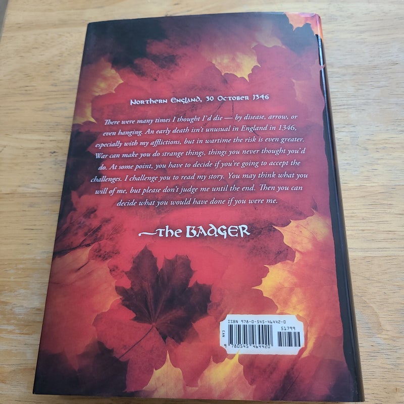 The Badger Knight by Kathryn Erskine, Hardcover | Pangobooks