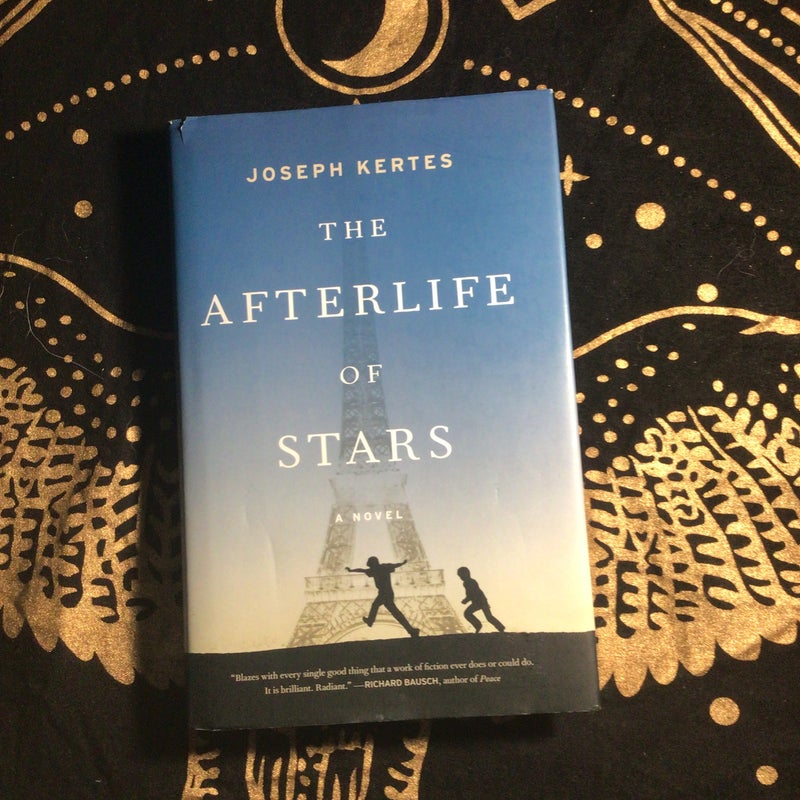 The Afterlife of Stars