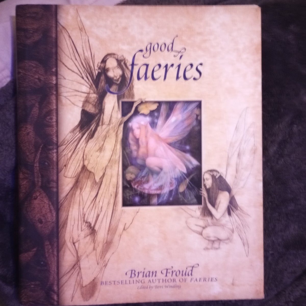 Good Faeries Bad Faeries by Brian Froud, Hardcover | Pangobooks