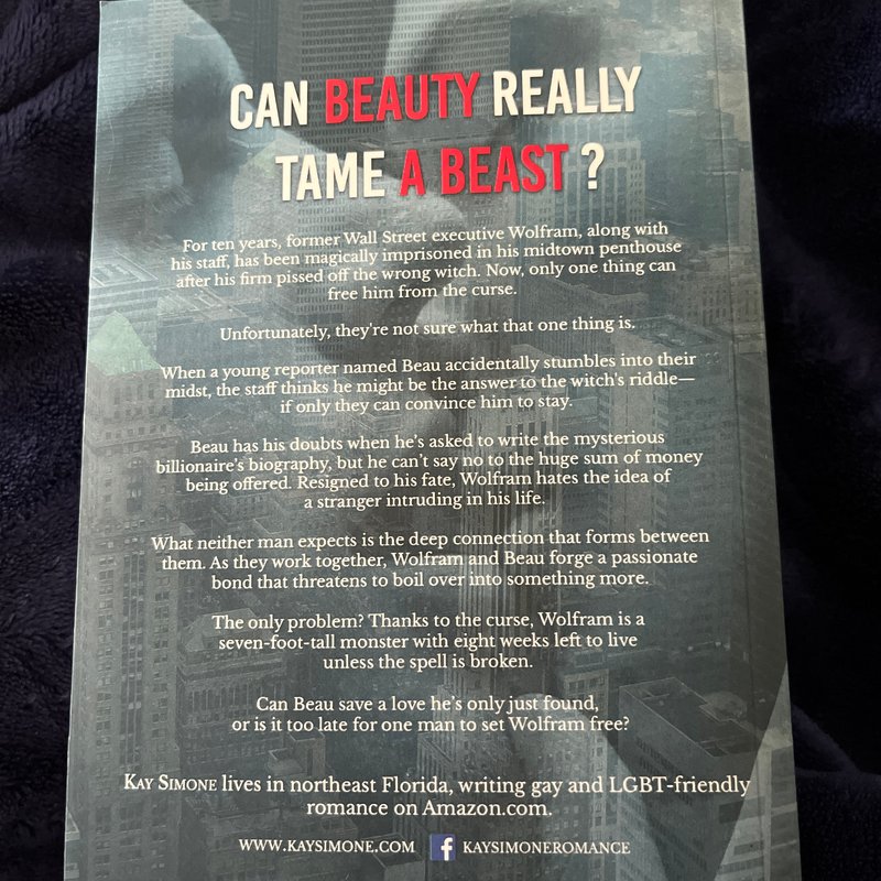 Beau and the Beast by Kay Simone, Paperback | Pangobooks