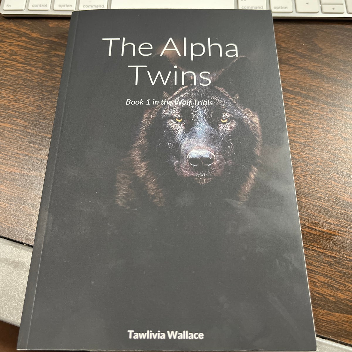 Nickelodeon PAW Patrol: I'm Ready to Read with Skye Sound Book by PI ...