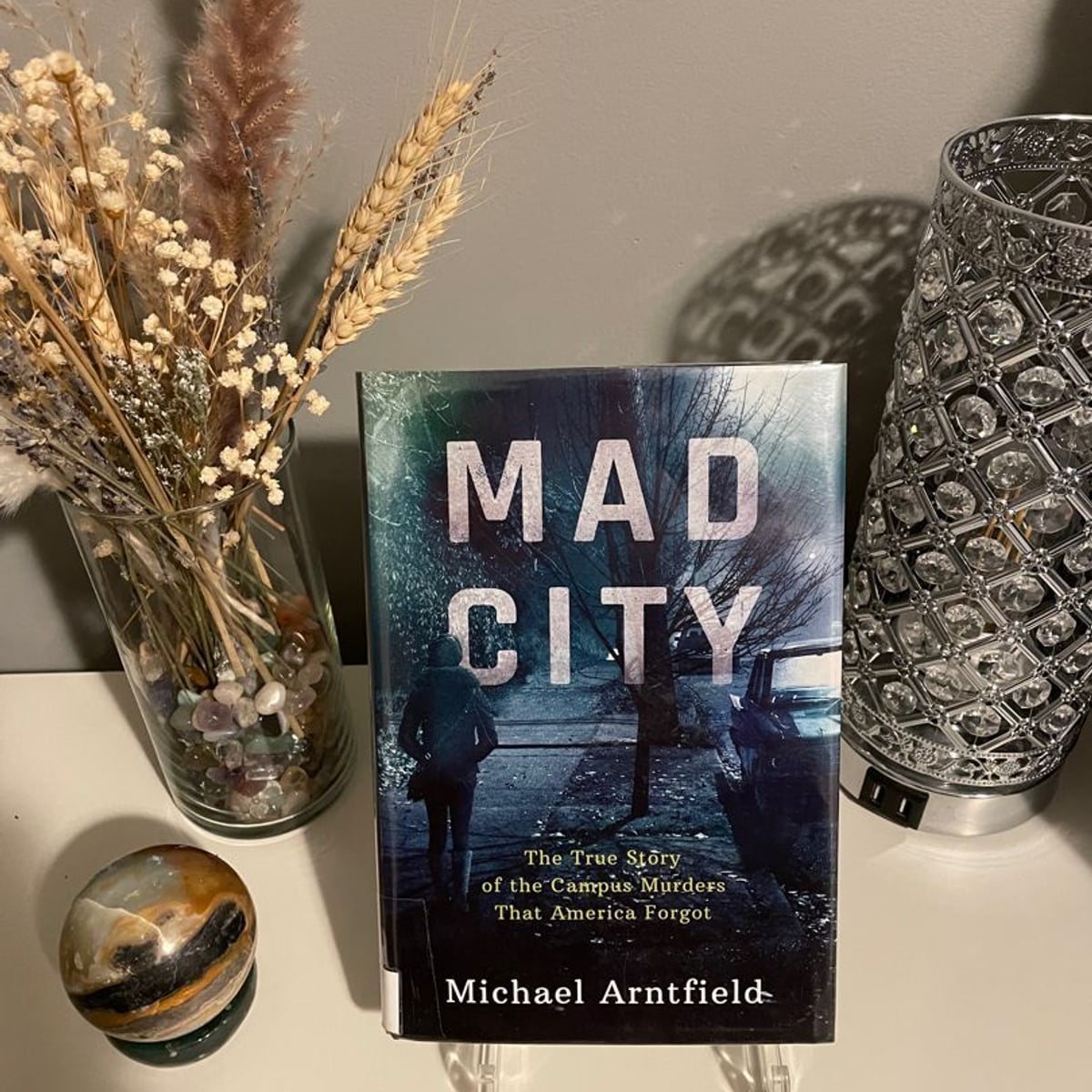 Mad City by Michael Arntfield