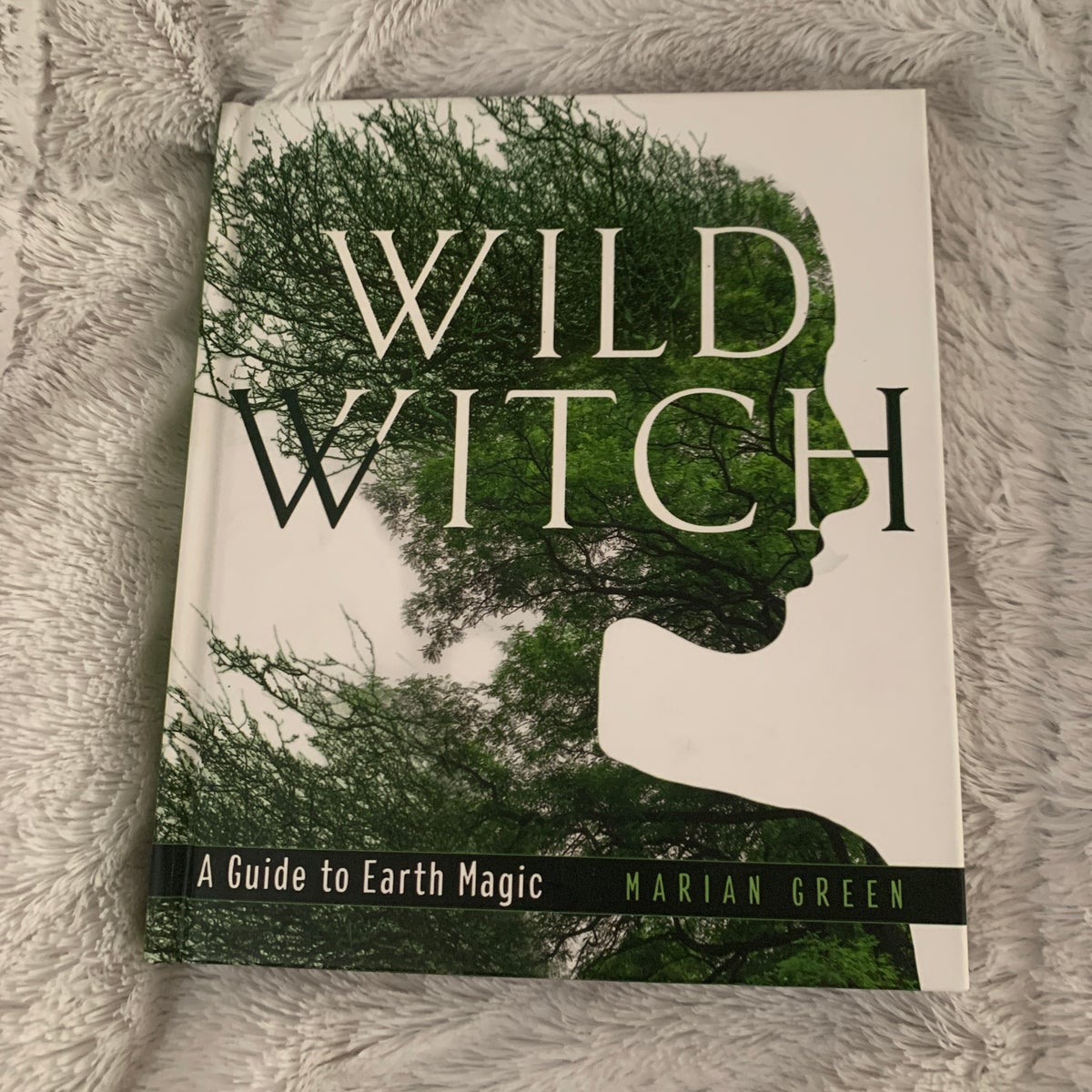 Wild Witch by Marian Green