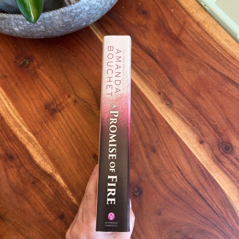 A Promise of Fire by Amanda Bouchet, Paperback | Pangobooks