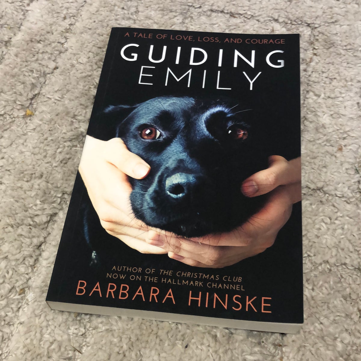 Guiding Emily by Barbara Hinske