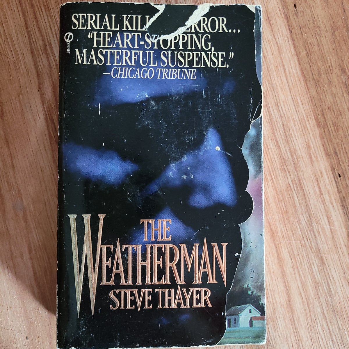 The Weatherman by Steve Thayer