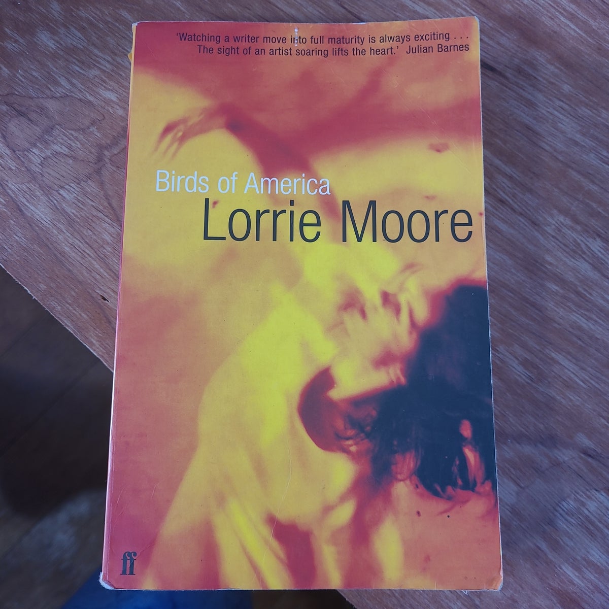 Birds of America by Lorrie Moore