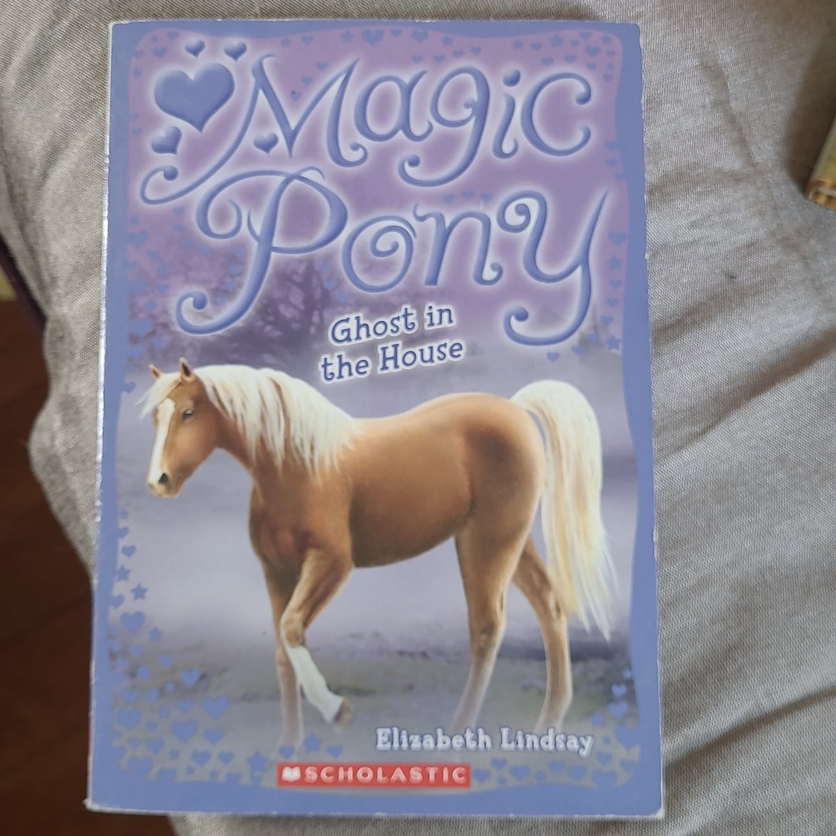 Ghost in the House by Elizabeth Lindsay, Paperback | Pangobooks