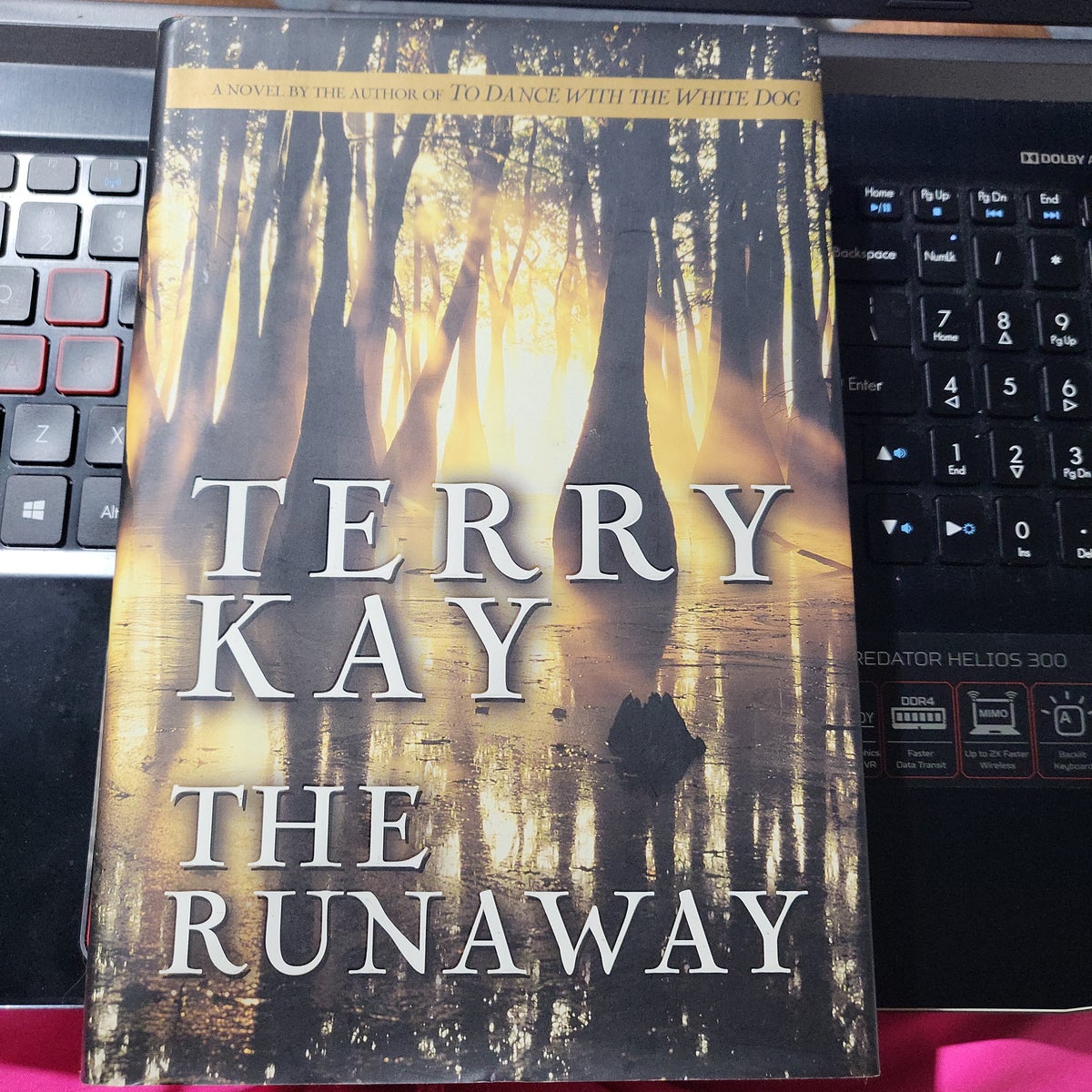 The Runaway by Terry Kay, Hardcover | Pango Books