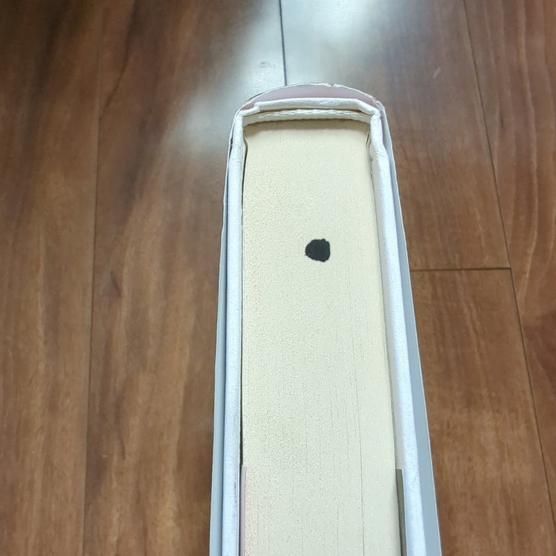 You Were Made for This by Michelle Sacks