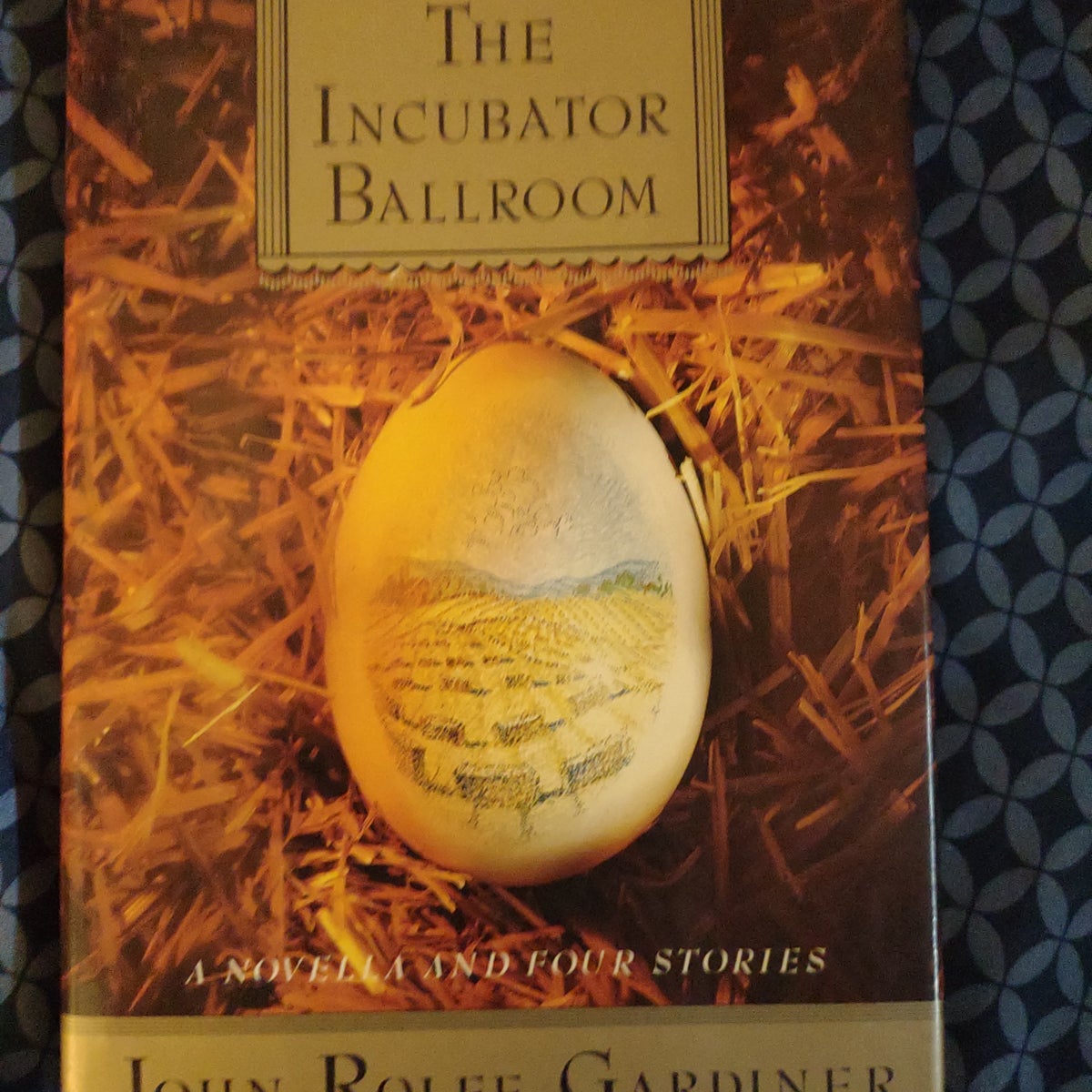 The Incubator Ballroom by John Rolfe Gardiner
