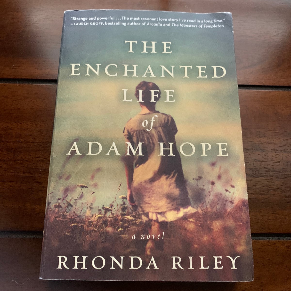 The Enchanted Life of Adam Hope by Rhonda Riley, Paperback | Pango Books