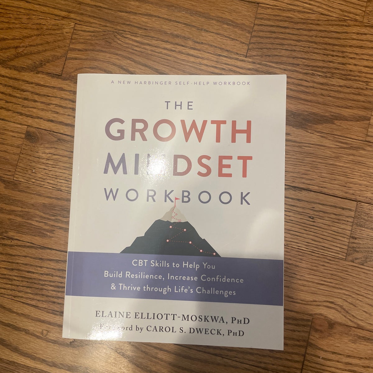 The Growth Mindset Workbook by Elaine Elliott-Moskwa, Carol S. Dweck