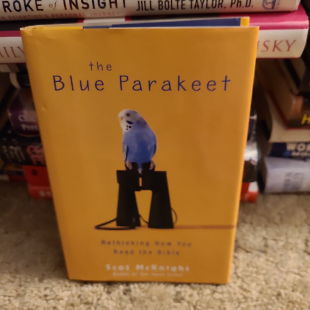 The Blue Parakeet by Ron Martoia, Scot McKnight