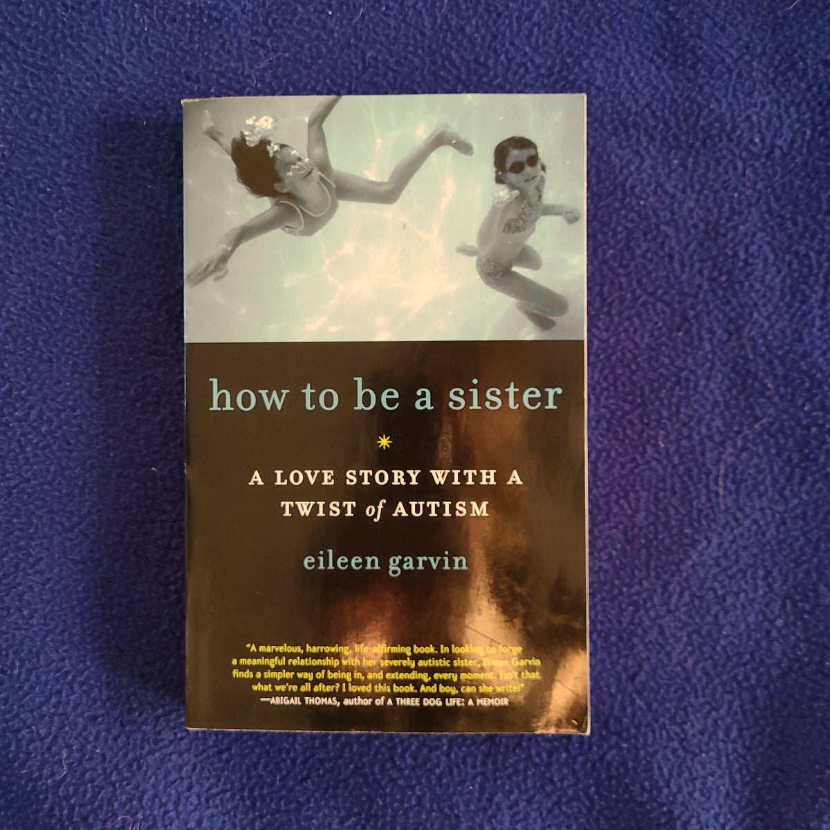 How to Be a Sister by Eileen Garvin