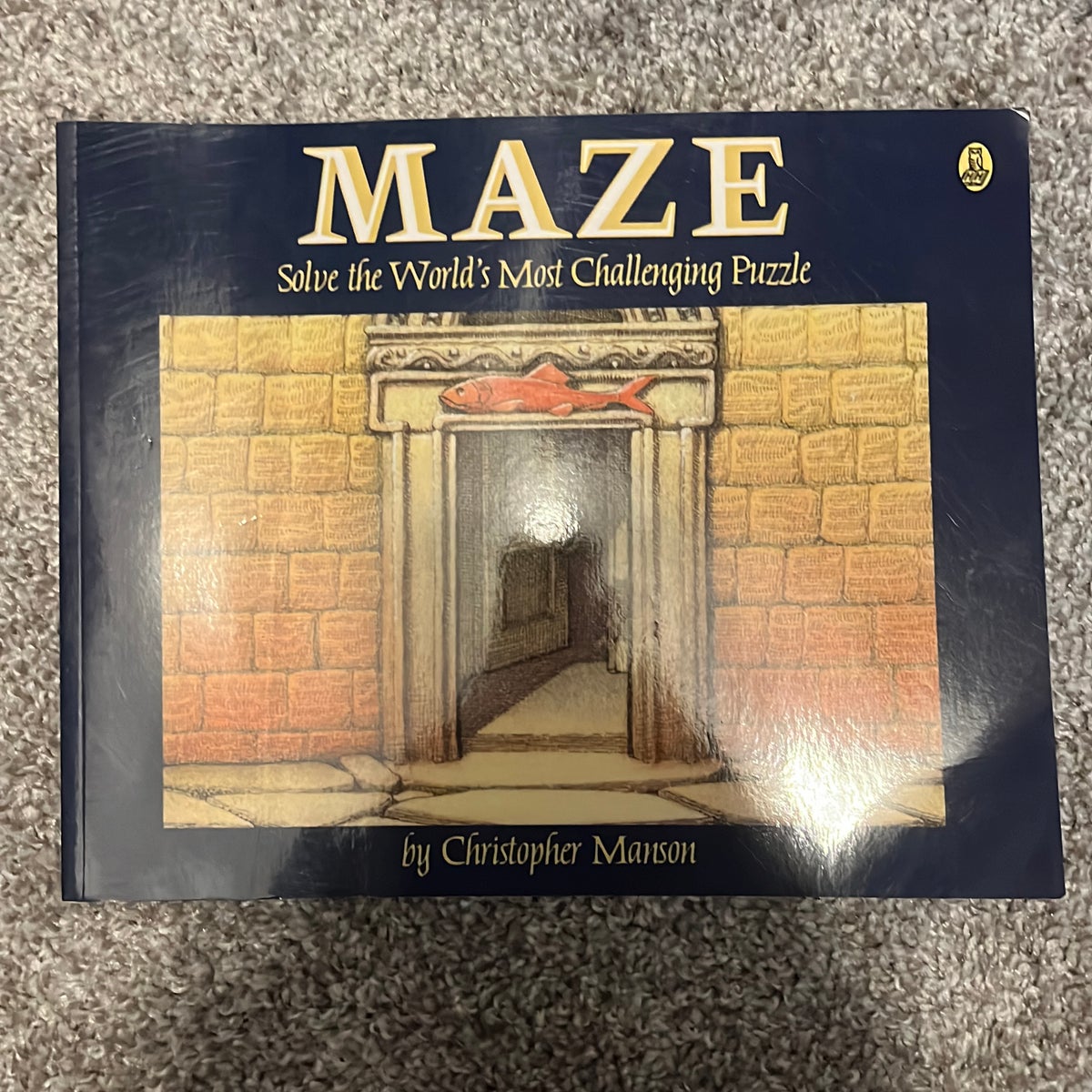 Maze by Christopher Manson