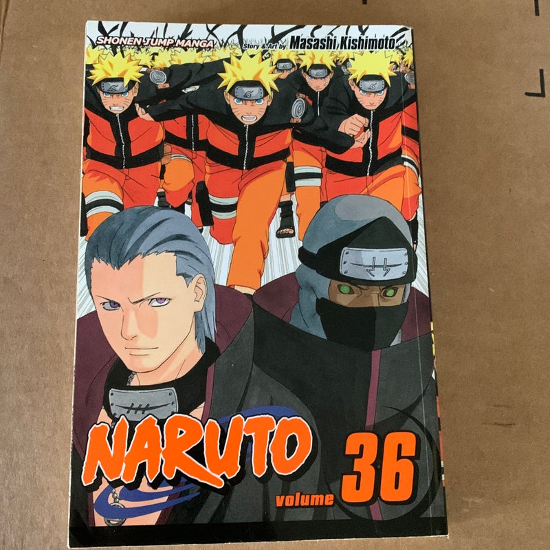 Naruto, Vol. 36