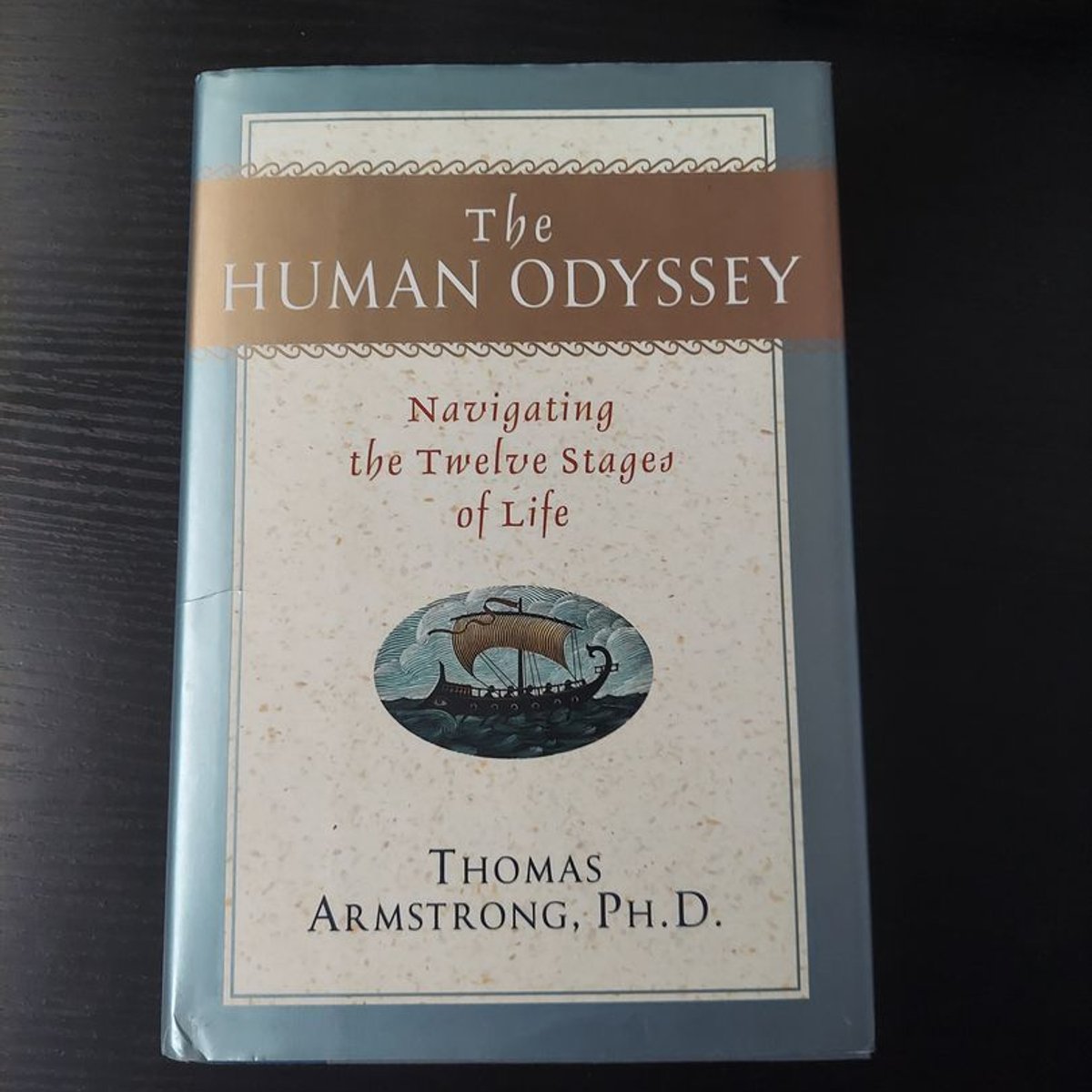 The Human Odyssey by Thomas Armstrong, Hardcover | Pangobooks