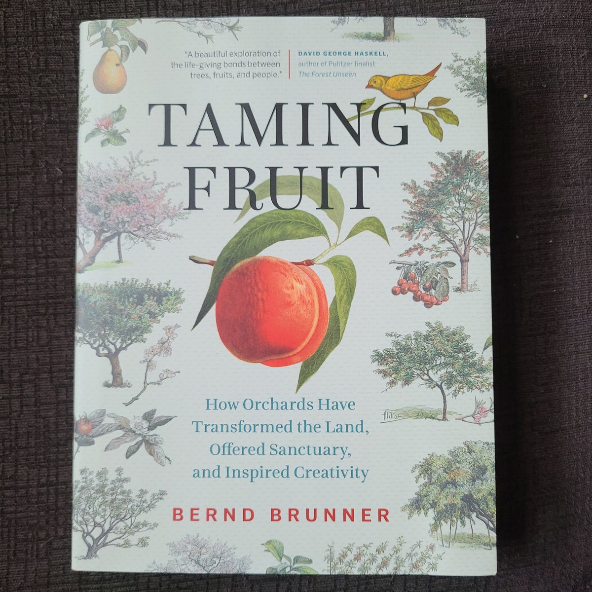 Taming Fruit by Bernd Brunner, Lori Lantz