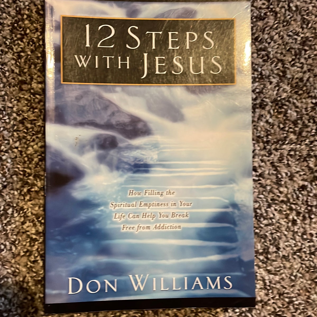 12 Steps with Jesus by Don Williams