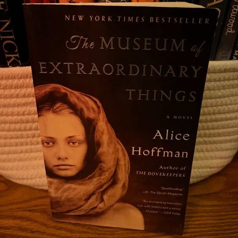 The Museum of Extraordinary Things by Alice Hoffman