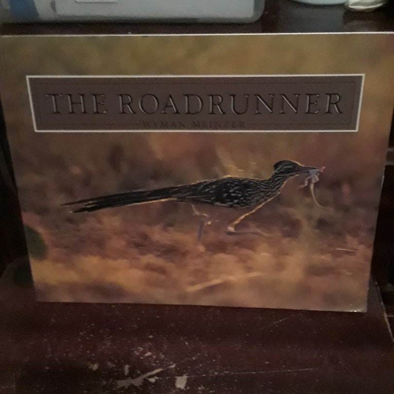 The Roadrunner by Wyman Meinzer