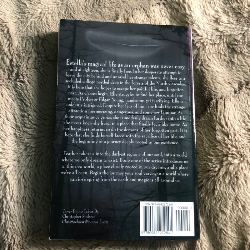 Feather: Book One of the Feather Book Series by Abra Ebner